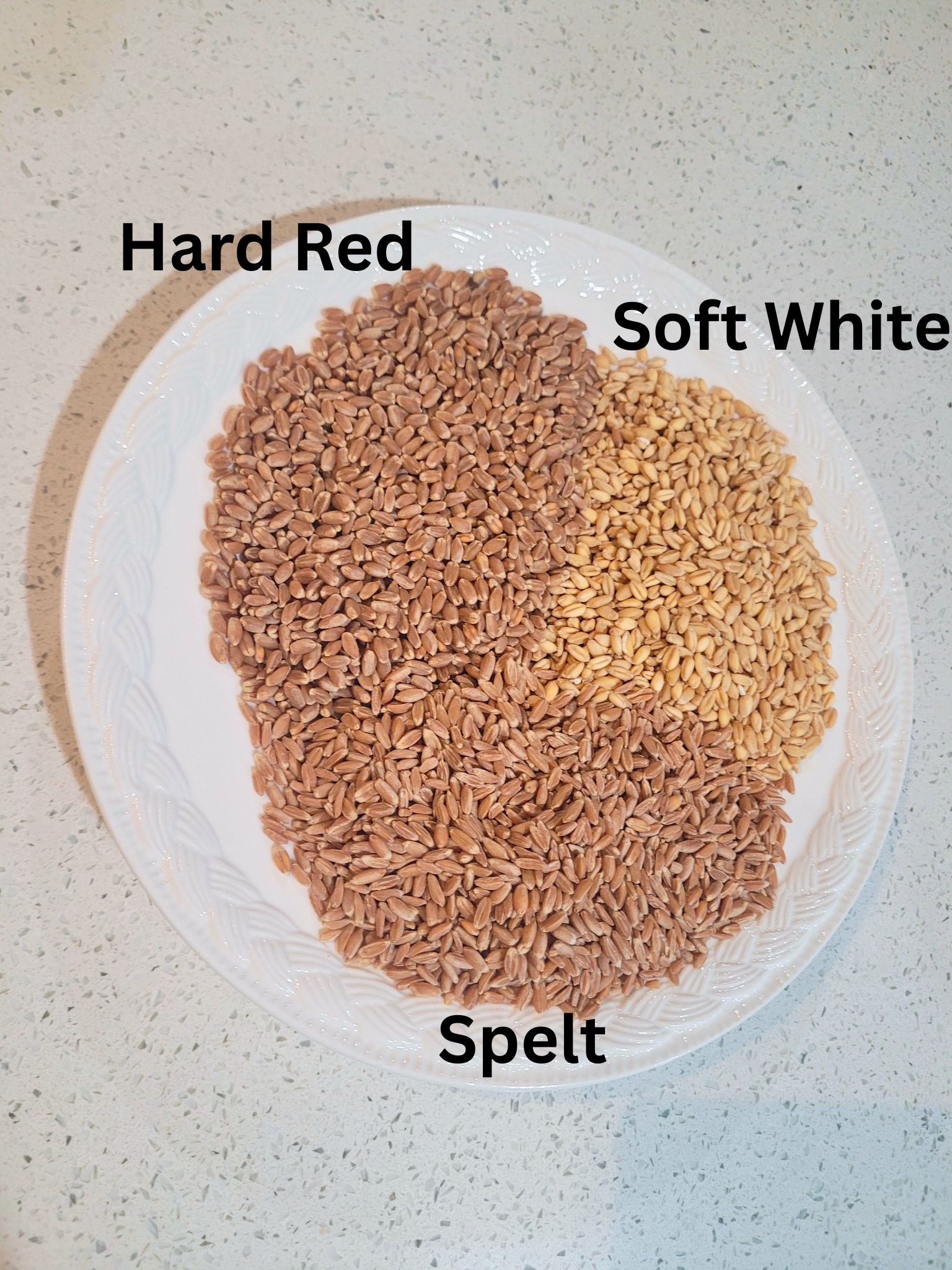 Wheat Berry Varieties - Basics You Need to Know - Truly Confident Home