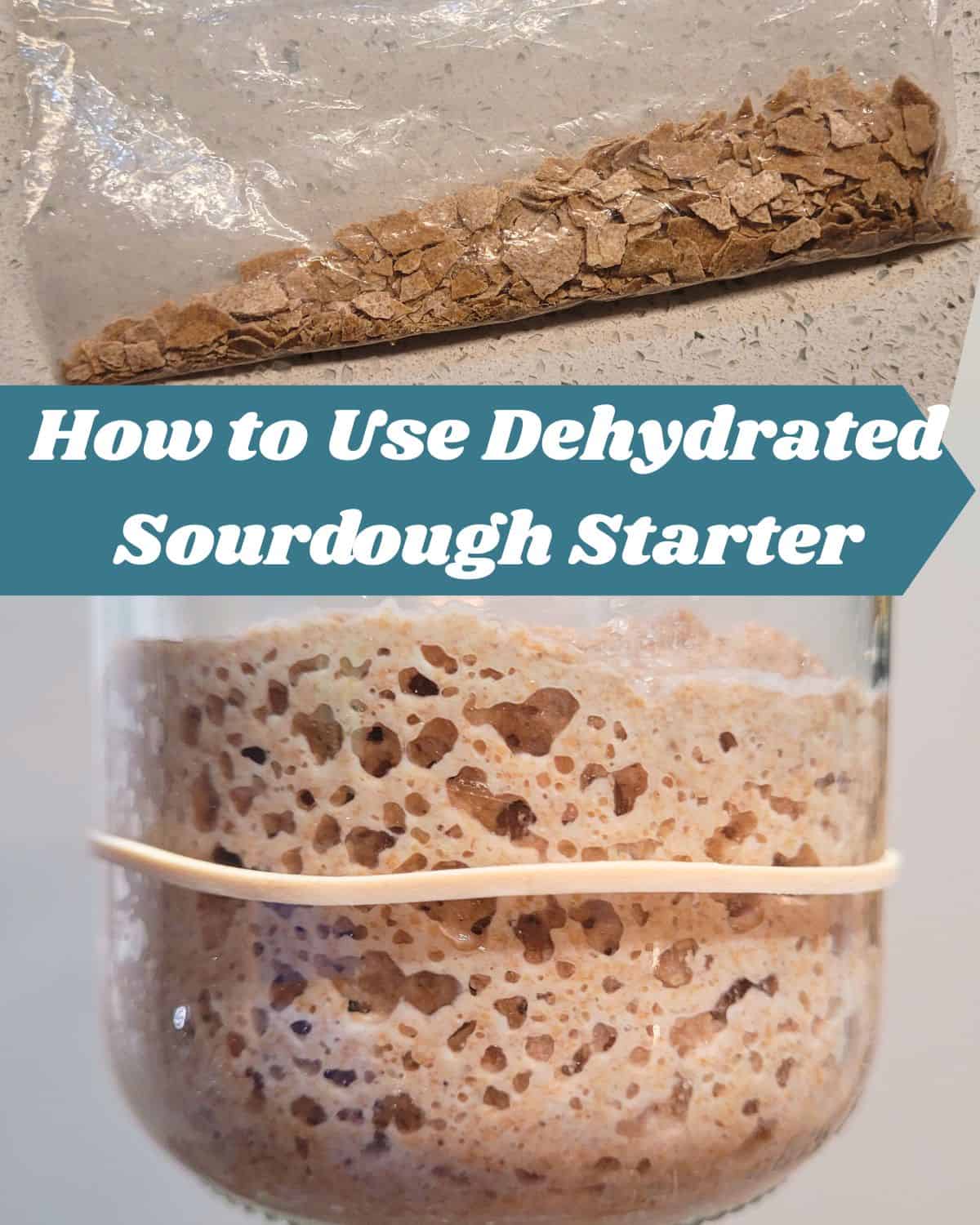 How To Use A Dehydrated Sourdough Starter - Truly Confident Home